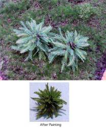 Michigan Toy Soldier Company : Joefix Studios - Palm Bush/Fern