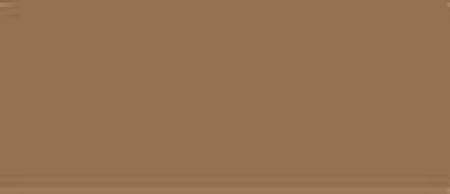 Michigan Toy Soldier Company : Lifecolor Acrylic Paint - LifeColor Tan ...