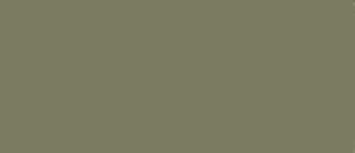 Michigan Toy Soldier Company : Lifecolor Acrylic Paint - LifeColor Tan ...