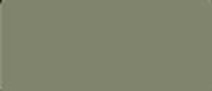 Michigan Toy Soldier Company : Lifecolor Acrylic Paint - LifeColor Grey ...