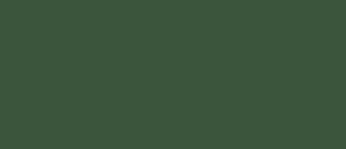 Michigan Toy Soldier Company : Lifecolor Acrylic Paint - LifeColor ...