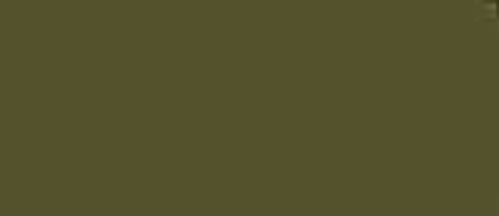 Michigan Toy Soldier Company : Lifecolor Acrylic Paint - LifeColor Dark ...